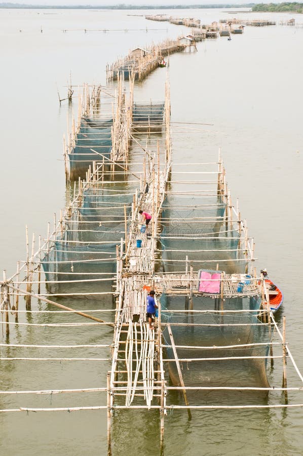Fish Farm at Chanthaburi River Thailand Stock Photo - Image of loch ...