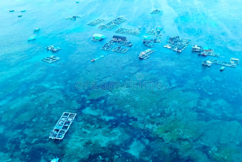 Fish Farm in Coastal Waters. Rectangular Cages Stock Photo - Image of ...