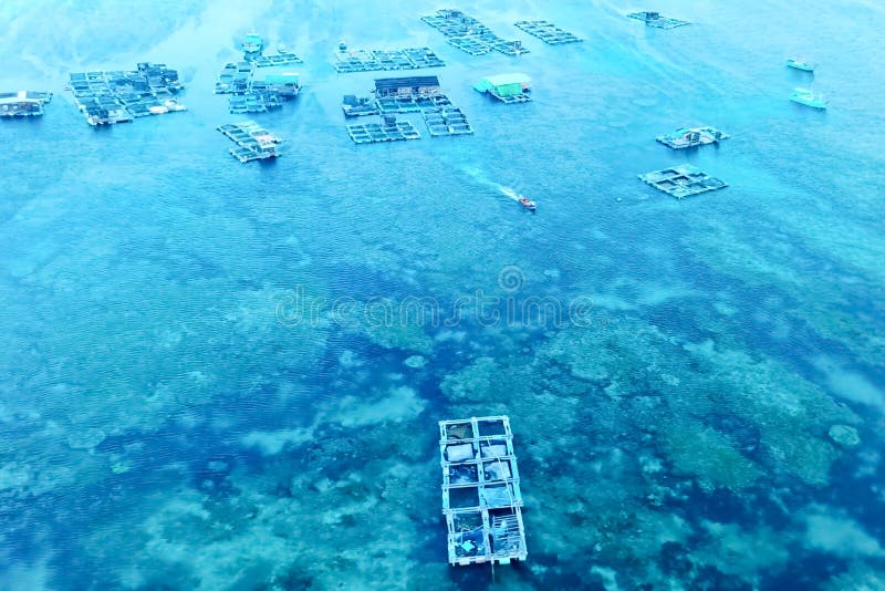 Fish Farm in Coastal Waters. Rectangular Cages Stock Photo - Image of ...