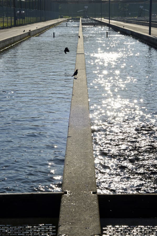 Fish farm. stock image. Image of fishes, aquatic, animals - 49795993