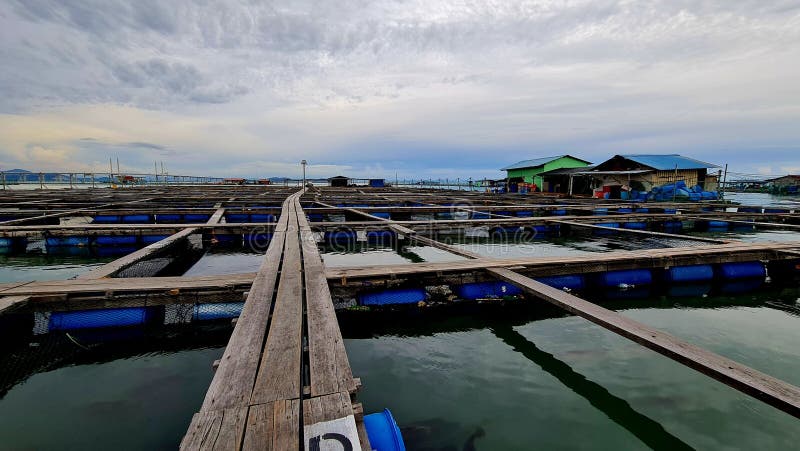 Fish Farm in Day View Penang Stock Photo - Image of fish, farm: 320713636