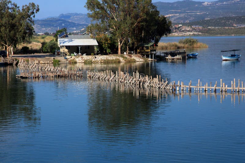 2,134 Farm Turkey House Images Stock Photos - Free & Royalty-Free Stock ...