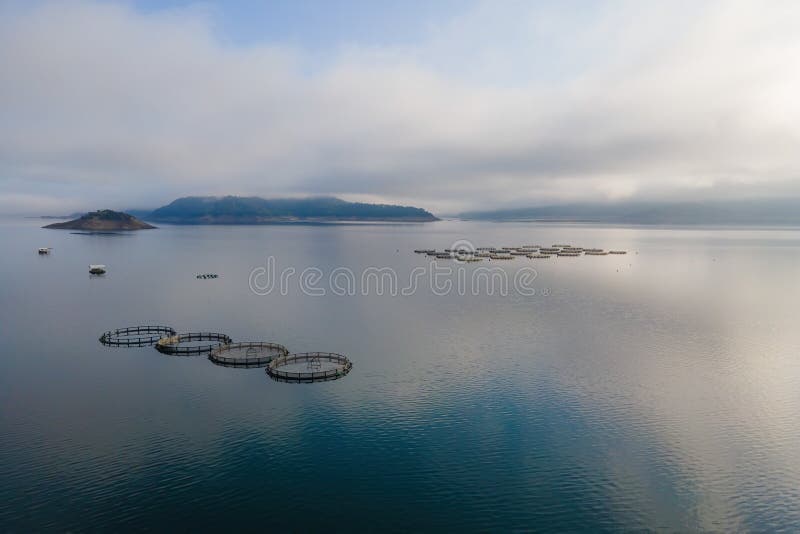 Fish Farm in the Open Ocean. Offshore Aquaculture Fish Farms Stock ...