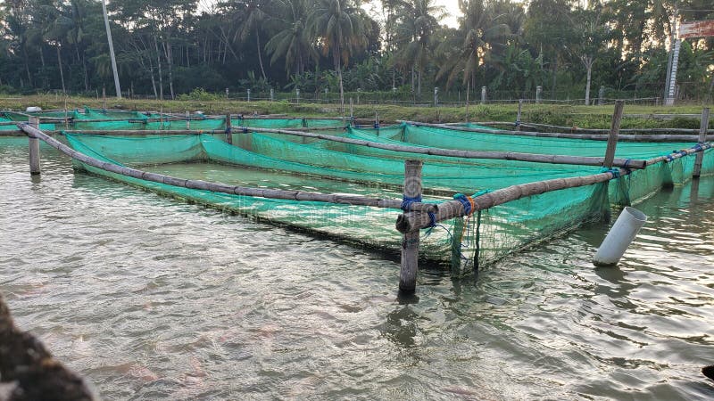 Netted Enclosures Stock Photos - Free & Royalty-Free Stock Photos from ...