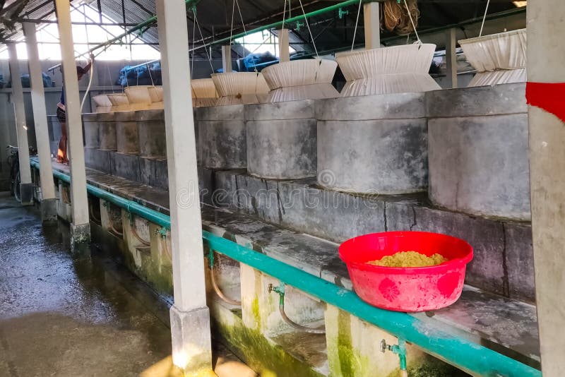 Fish Farm Inside. Containers with Water and Fish Editorial Stock Image ...