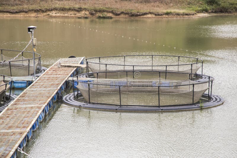 Fish farm in lake stock photo. Image of cage, nature - 336364366