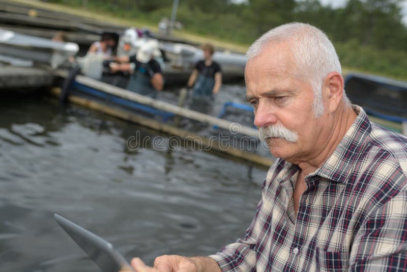 Fish Farm Owner Managing Team Stock Photo - Image of fishfarm, marine ...