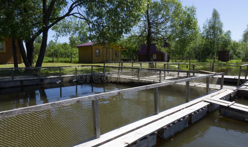 Fish Farm in the Pond. Aquaculture in the Open Air. Stock Image - Image ...