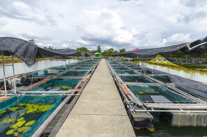 Fish Farm Architecture