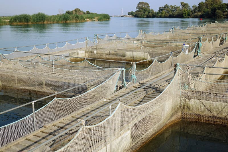 Fish farm on the river . stock image. Image of blue - 119478275