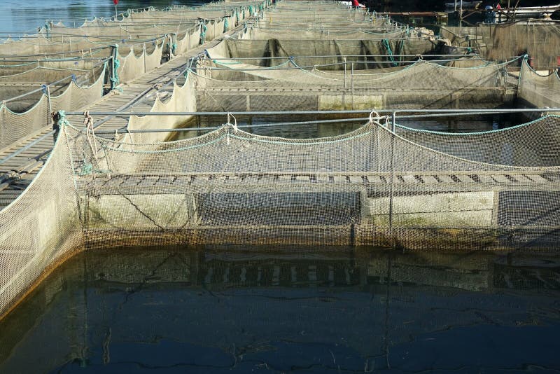 Fish farm on the river . stock image. Image of blue - 119478281