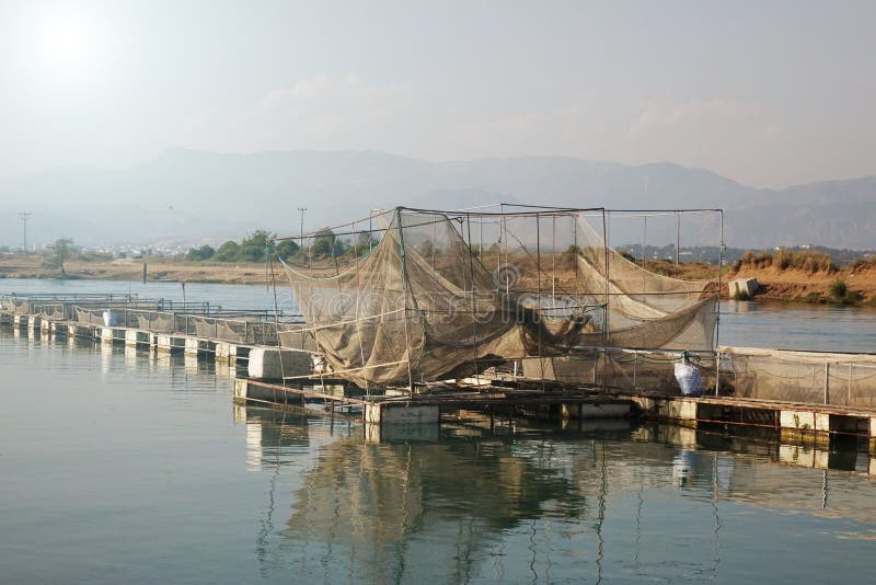Fish farm on the river . stock photo. Image of nature - 119478442