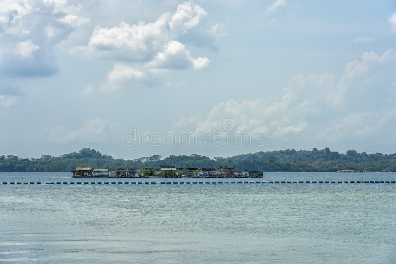 Fish Farm in river stock image. Image of river, beach - 124579097