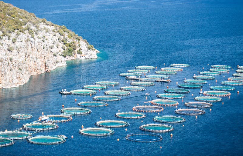 Fish farm in the sea stock image. Image of coast, industry - 83821647