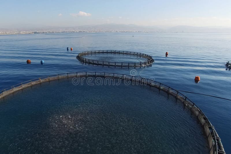 Fish Farm in the Sea, Fenced with Round Net Stock Photo - Image of ...