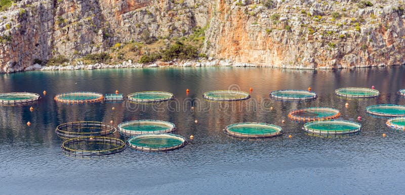 Fish farm in the sea stock image. Image of aquaculture - 83820595