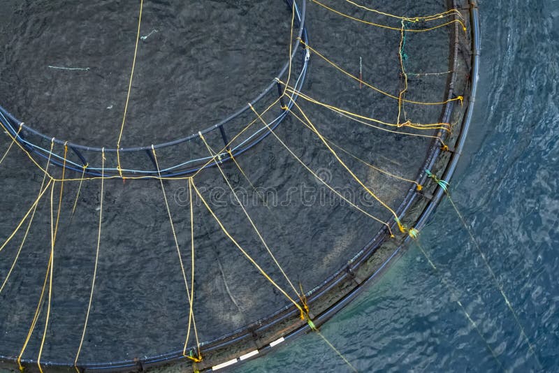 Fish Farm at Sea. Top View of Fish Farm Stock Image - Image of blue ...