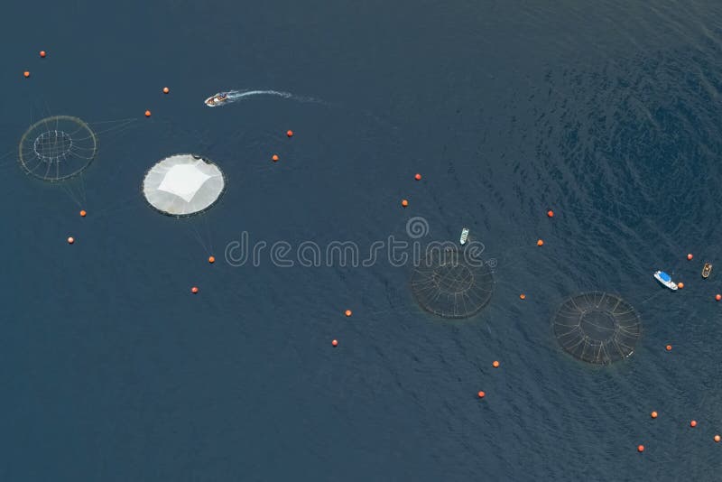Fish Farm at Sea. Top View of Fish Farm Stock Photo - Image of marine ...