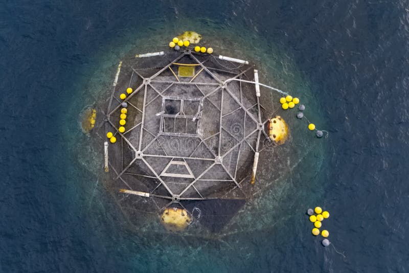 Fish Farm at Sea. Top View of Fish Farm Stock Photo - Image of cage ...