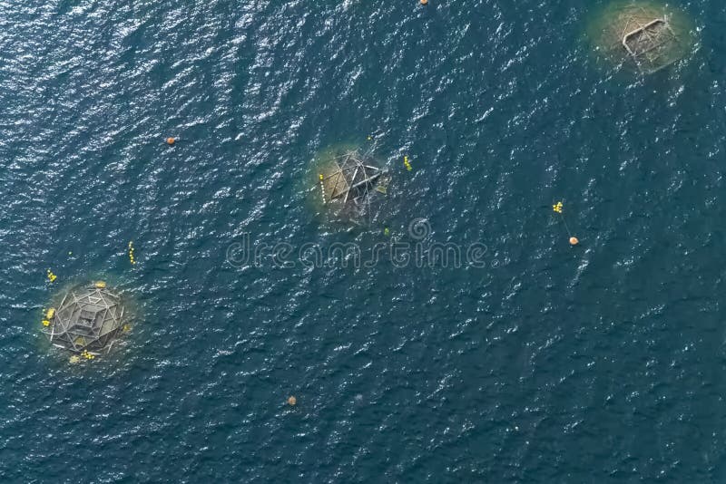 Fish Farm at Sea. Top View of Fish Farm Stock Image - Image of circle ...