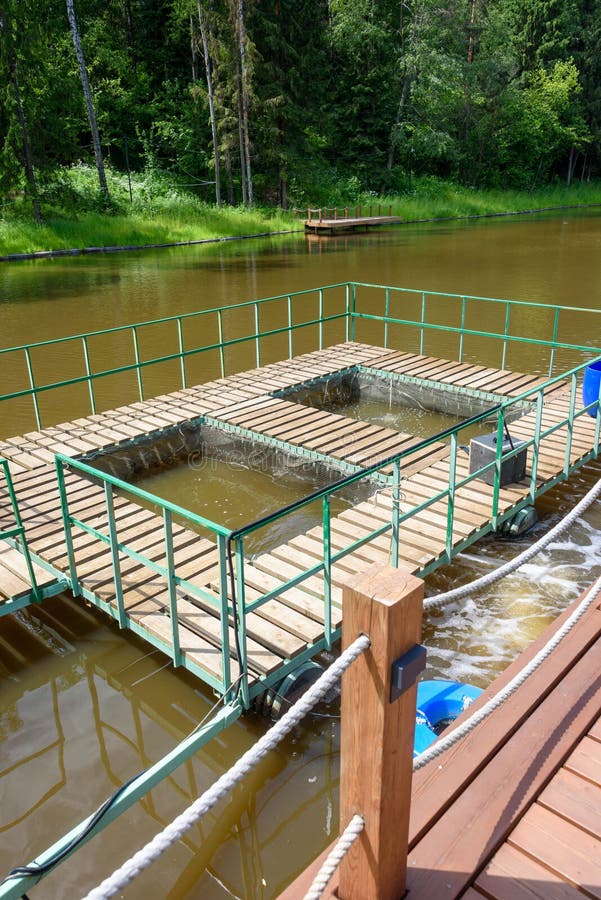 A Fish Farm or a Specially Equipped Place for Fish Breeding. Stock ...