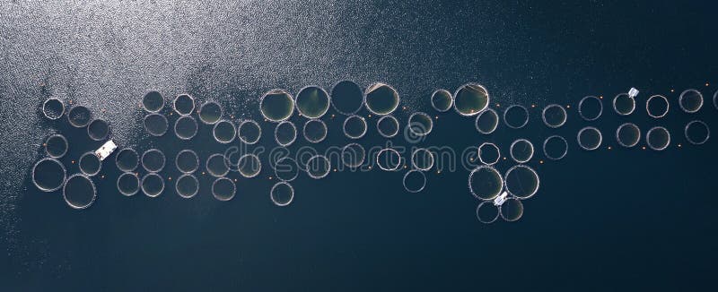 Fish Farm in the Water. Top View from Drone Stock Image - Image of ...