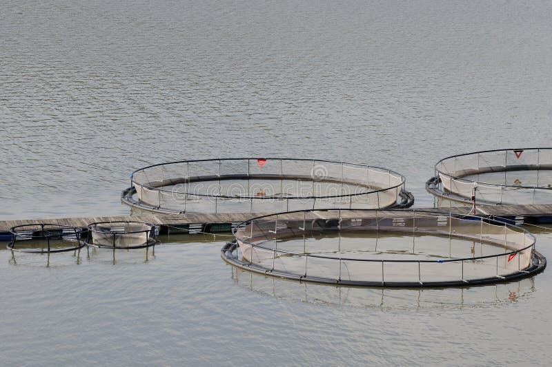 What Is Industrial Fish Farming at Pamela Beeler blog