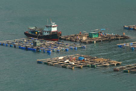 Fish farming stock photo. Image of boat, freshwater, ship - 27684454