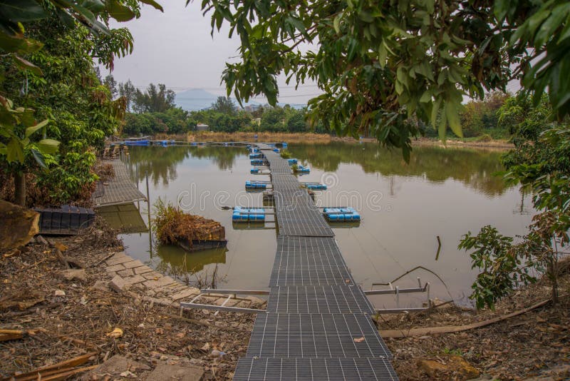 Fish farming stock photo. Image of nature, restaurant - 127755306