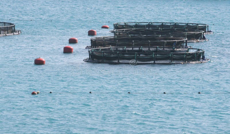 Fish farming stock photo. Image of boat, freshwater, ship - 27684454