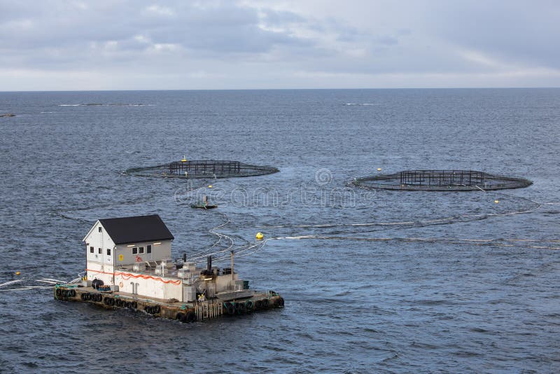 Fish Farming stock photo. Image of water, industry, ship - 70524442