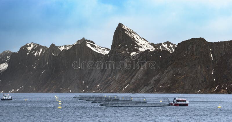 Fish Farming in North Norway Stock Photo - Image of fish, blue: 128453870