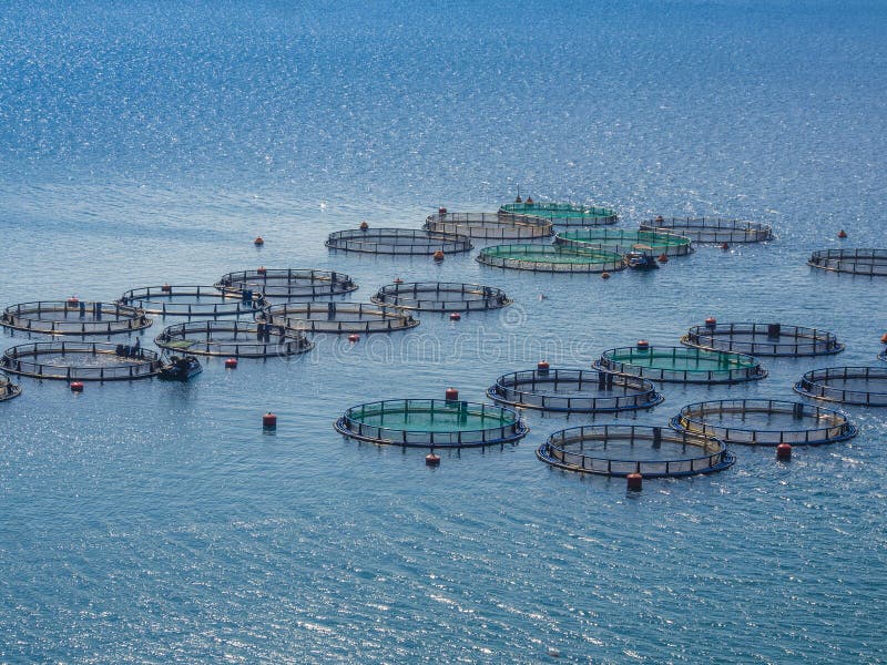 Commercial fishing boats stock image. Image of trawler - 25664877