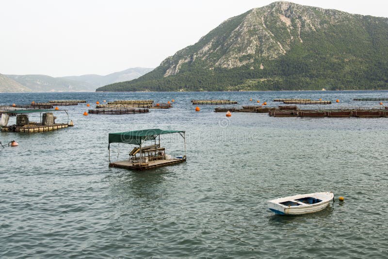 Fish farming in the sea stock image. Image of aquaculture - 102917609
