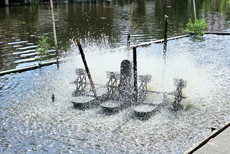 Fish Farming Solar Cell Panel Paddle Wheel Stock Photos - Free ...