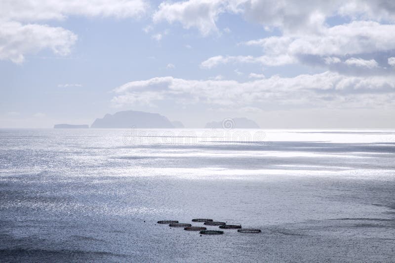 Fish Farming in the Waters Around Madeira Stock Image - Image of clouds ...