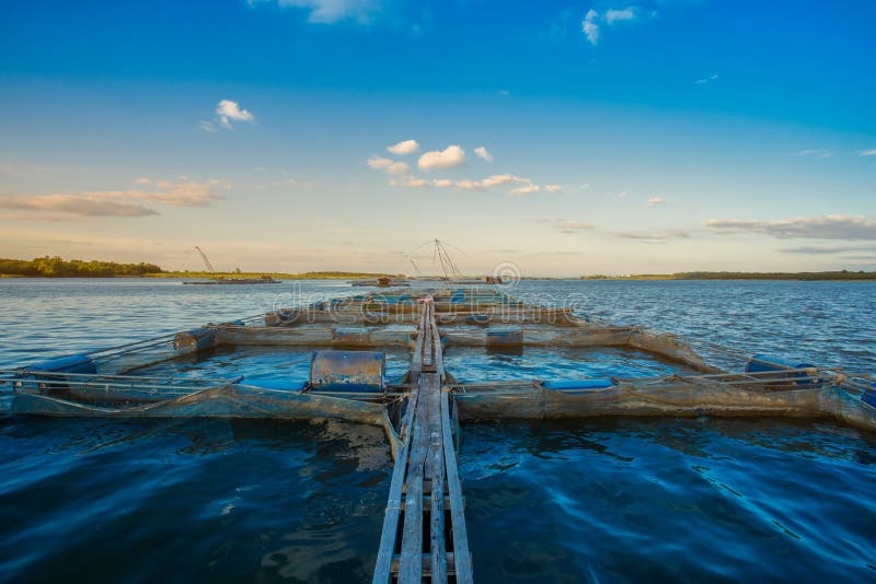 Fish Farms in Khong River with Clear Blue Sky Stock Image - Image of ...