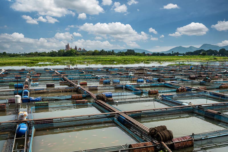 Fish farms in Thailand stock photo. Image of landscape - 299376820