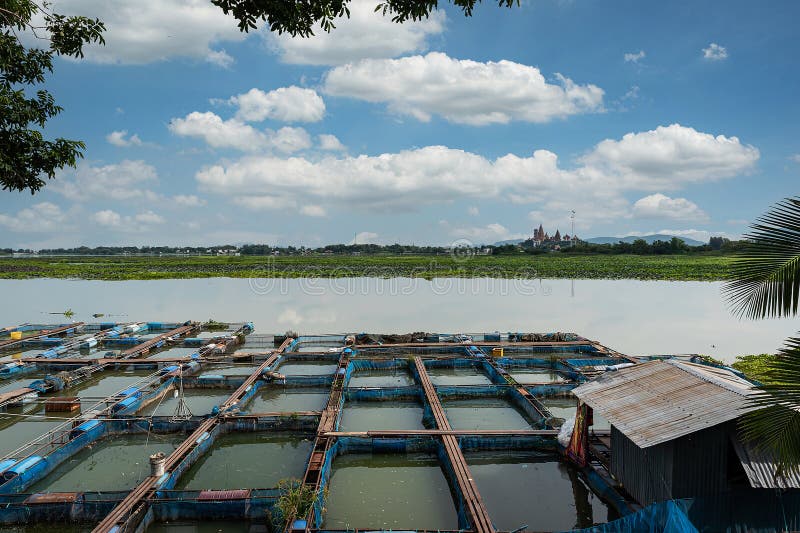 Fish farms in Thailand stock photo. Image of asian, sunset - 299376894