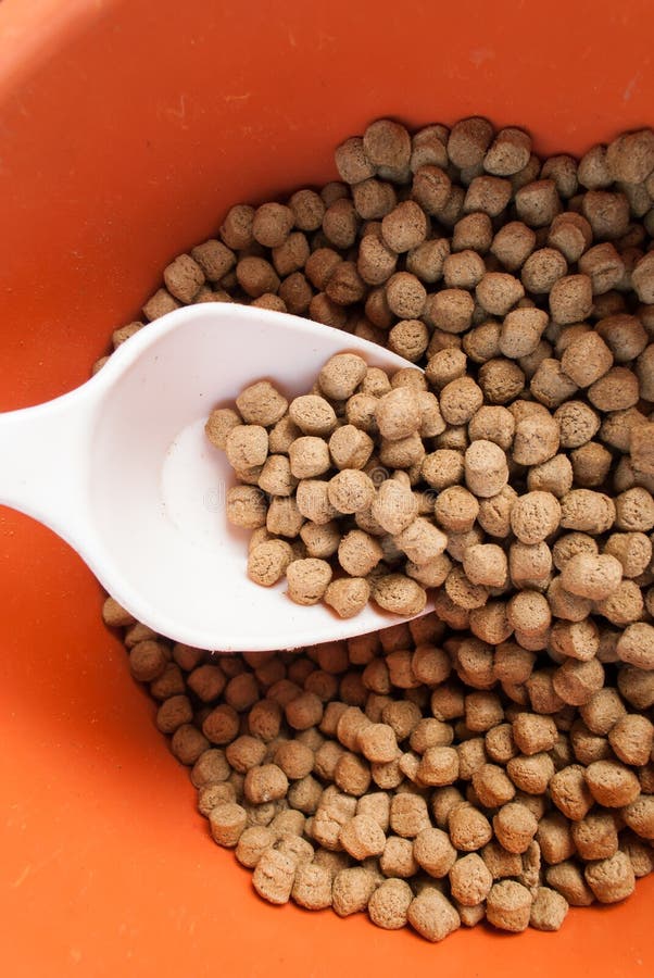 Fish feed stock image. Image of daphnia, tank, container - 38441455