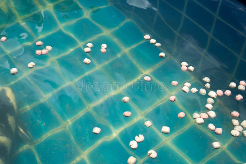 Pool Koi Pond Tile Stock Photos - Free & Royalty-Free Stock Photos from ...