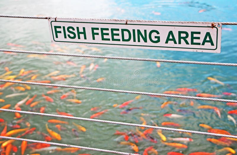 No Feeding Sign by a Pond in the Metroparks in Cleveland, Ohio Stock ...
