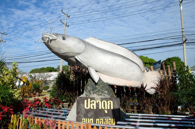 Fish Festival editorial stock image. Image of beauty - 28342894