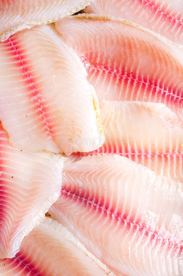 Fish fillet stock photo. Image of healthy, fresh, fish - 12484060