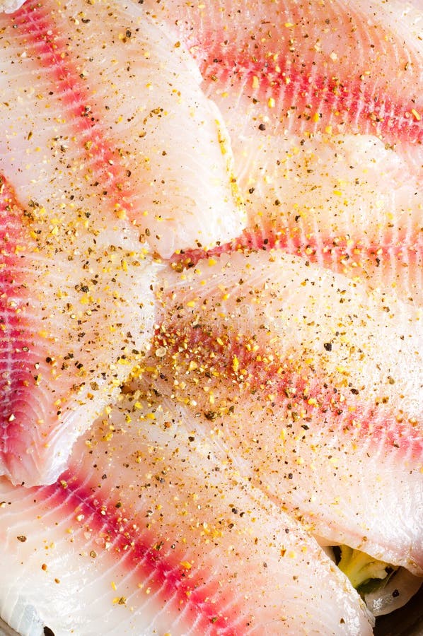 Fish fillet stock photo. Image of pink, food, salmon - 12484062