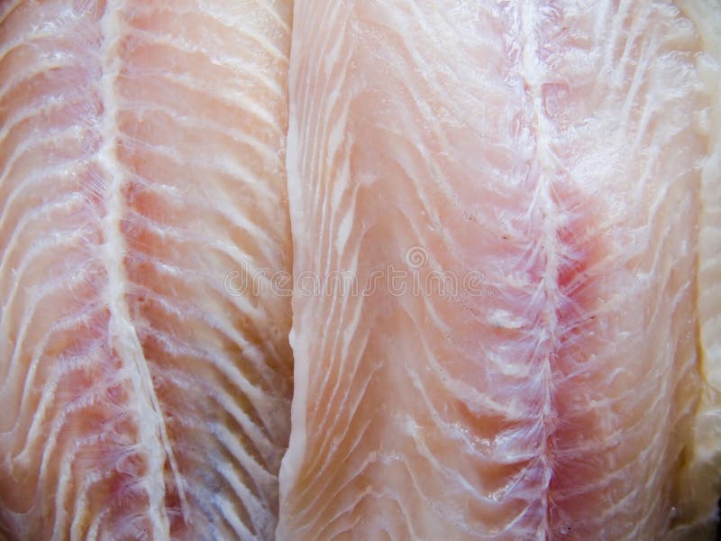 Fish fillet stock image. Image of fish, cuisine, detail - 3209805