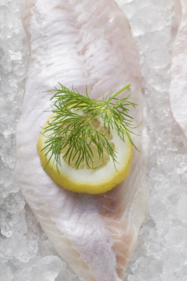 Fish fillet stock image. Image of fish, rice, halibut - 4548767