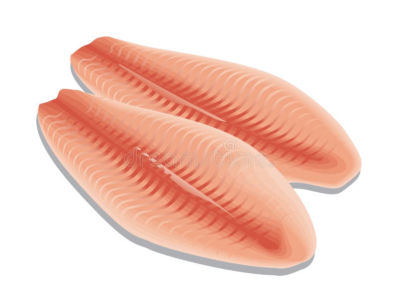 Fish Fillet Stock Illustrations – 3,891 Fish Fillet Stock Illustrations ...