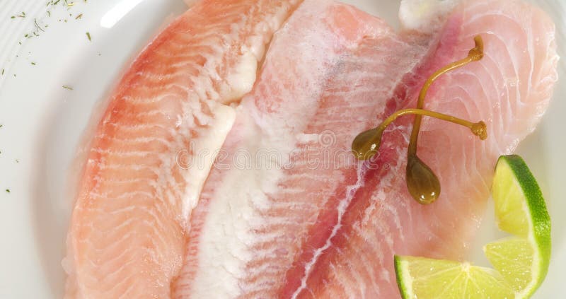 Fish fillet. Isolated stock image. Image of fatty, seafood - 12258953