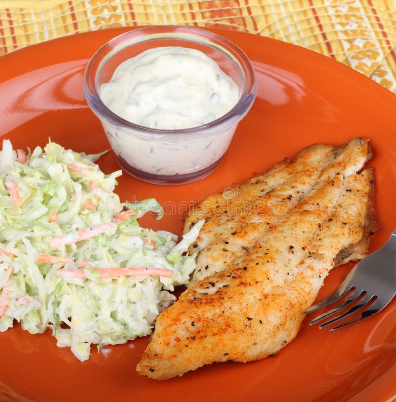 Fish Fillet Meal stock photo. Image of seafood, coleslaw - 19080044